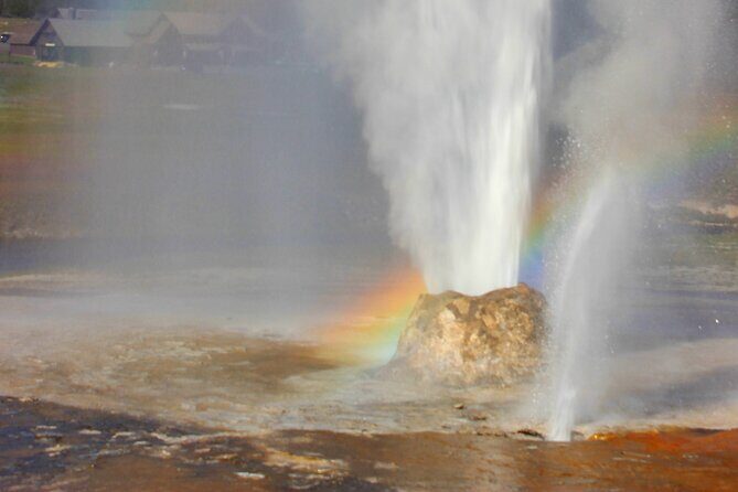 Self Guided Audio Walking Tour of Old Faithful Geyser Basin - What We Like About the Tour