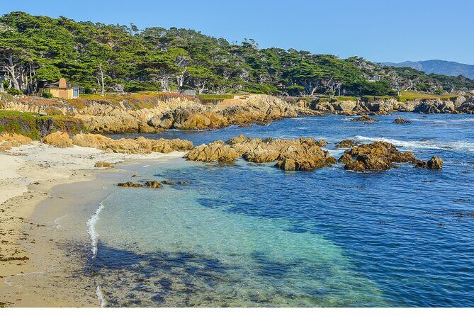Self Guided Driving Audio Tour of 17 Mile Drive Monterey - Itinerary Breakdown: What to Expect at Each Stop