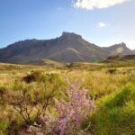 Self Guided Driving Audio Tour of Big Bend National Park - FAQ
