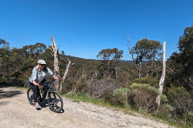 Self Guided Ebike Winery Tour in the Adelaide Hills - Why This Tour Offers Great Value