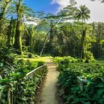 Self Guided Hike Trail to Nature Walk & Waterfall - Authentic Experiences and Most Notable Aspects