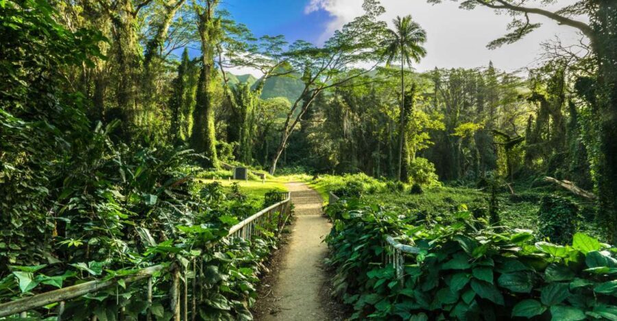 Self Guided Hike Trail to Nature Walk & Waterfall - Authentic Experiences and Most Notable Aspects