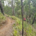Self-Guided Mountain Bike Tours in Port Douglas - The Value of This Tour