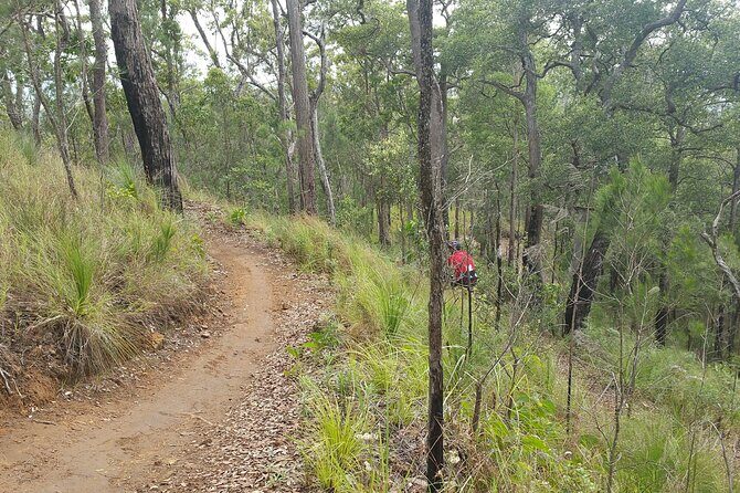 Self-Guided Mountain Bike Tours in Port Douglas - The Value of This Tour