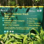 Self-Guided Queen Charlotte Track Walk from Picton - Who Should Consider This Tour?