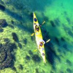 Self-Guided Sydney Middle Harbour Kayak 3 Hour Tour by Double Kayak - Wildlife and Natural Beauty