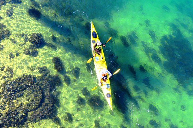 Self-Guided Sydney Middle Harbour Kayak 3 Hour Tour by Double Kayak - Wildlife and Natural Beauty