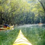 Self-Guided Sydney Middle Harbour Kayak 3 Hour Tour by Single Kayak - Why It’s a Great Value
