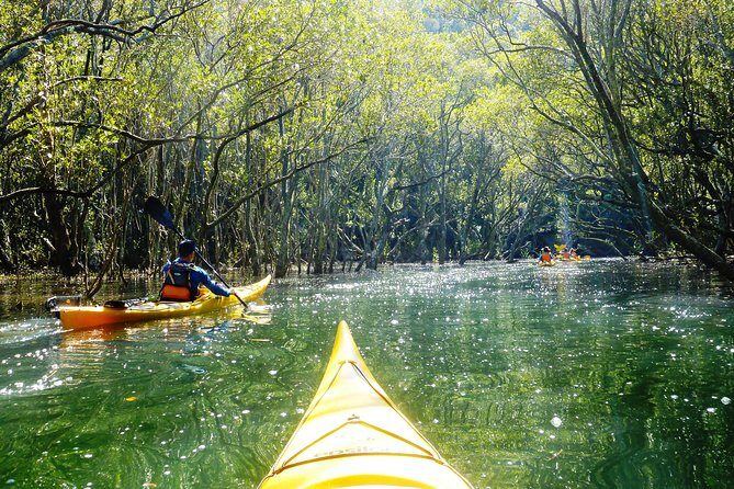 Self-Guided Sydney Middle Harbour Kayak 3 Hour Tour by Single Kayak - Why It’s a Great Value