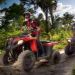 Selvatica Park: Zip Lines & ATV Jungle Adventure - Authentic reviews and insights