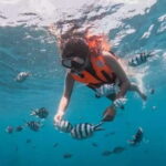 Semporna : Mabul and Kapalai Island Hopping shared tour - What makes this tour stand out?