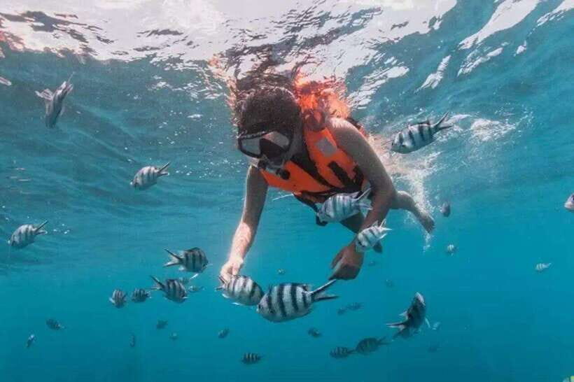 Semporna : Mabul and Kapalai Island Hopping shared tour - What makes this tour stand out?