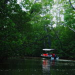 Semporna: Proboscis Monkey & Firefly Cruise with Dinner - A Complete Breakdown of the Tour Experience