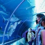 Sentosa Luxe: A Premium Half-Day Island Discovery Tour - Practical Details and Considerations