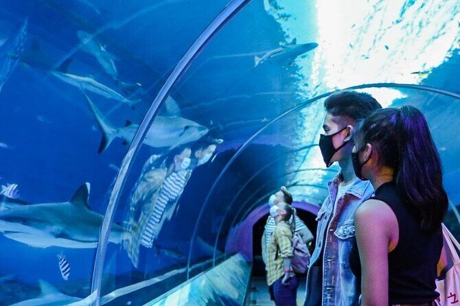 Sentosa Luxe: A Premium Half-Day Island Discovery Tour - Practical Details and Considerations