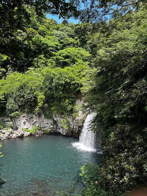 Seogwipo Jungmun Area Walking Tour - An In-Depth Look at the Tour Itinerary