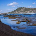 Seogwipo Natural Wonders: Craters, Caves, and Forests - The Itinerary: What You’ll Experience