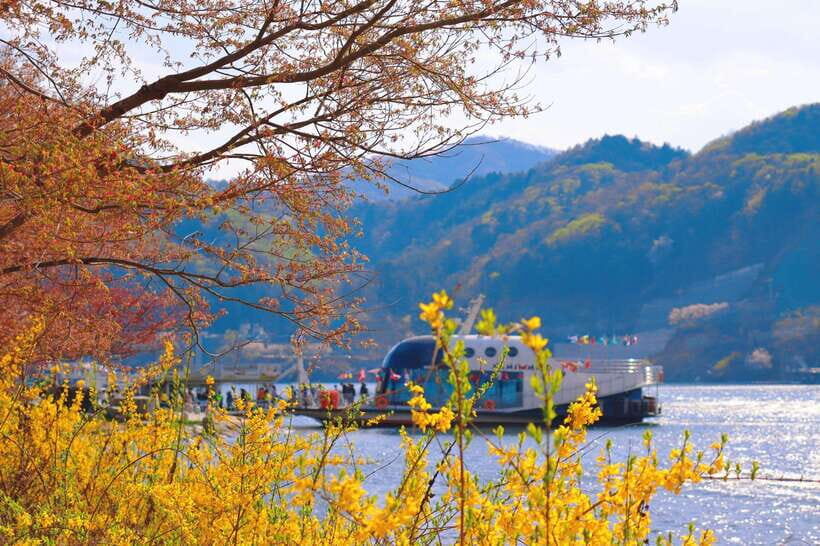 Seoul: Alpaca World & Nami Island (opt. Gangchon Railbike) - Deep Dive into the Experience