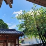 Seoul: Bukchon Hanok Village Walking Tour - Final Thoughts: Is This Tour Right for You?