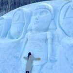 Seoul Cheongyang Alps Village Frozen Ice Wall Tour Pass Ticket - Is This Tour Worth the Price?