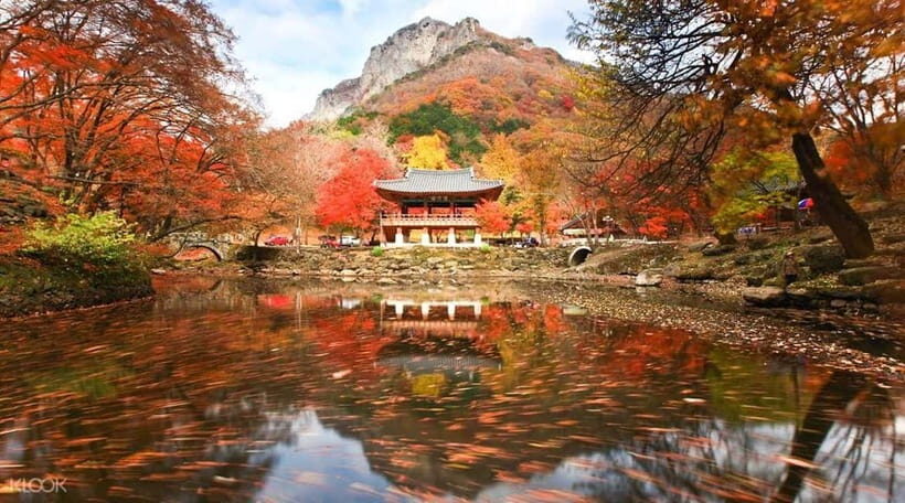 Seoul: Classic Naejangsan National Park Shuttle Bus - Is This Tour Right for You?