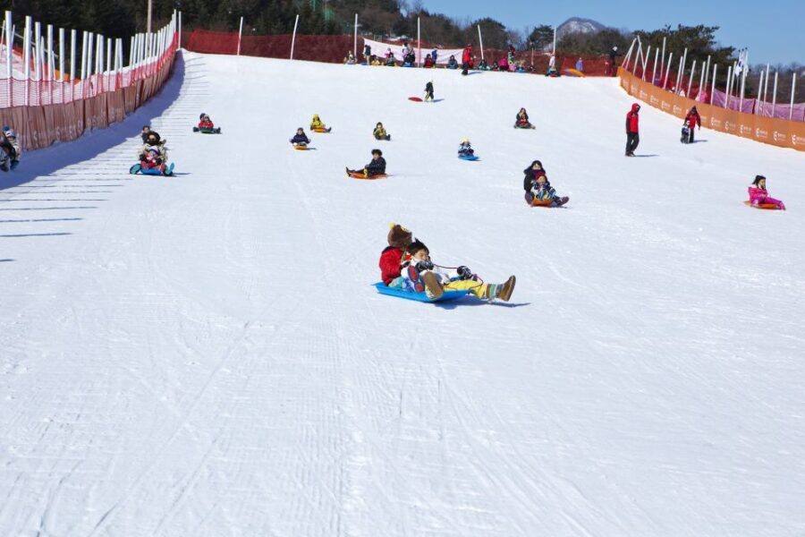 Seoul: Elysian Gangchon Winter Ski Resort Fun Day Tour - The Itinerary: What to Expect