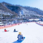 Seoul: Elysian Ski + Eobi Ice Valley + Nami - Practical Tips for Your Day Trip