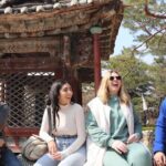 Seoul Half Day Tour with a Local: 100% Personalized & Private - Real Traveler Reviews: What People are Saying
