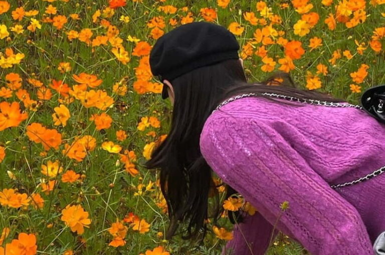 Seoul: Mt. Seorak & Autumn Flower Festival - The Seasonal Flower Festival – A Burst of Autumn Color