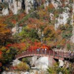 Seoul: Mt Seorak Hike with Naksansa Temple or Nami Island - Itinerary Breakdown