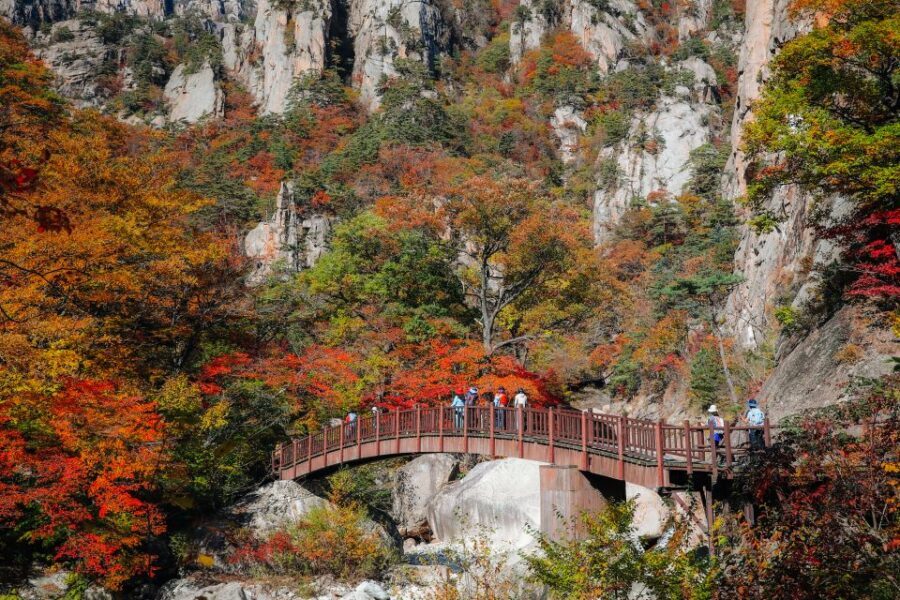 Seoul: Mt Seorak Hike with Naksansa Temple or Nami Island - Itinerary Breakdown