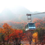 Seoul: Mt.Seorak, Nami Island & Korean Garden, No Shopping - Exploring the Itinerary in Detail
