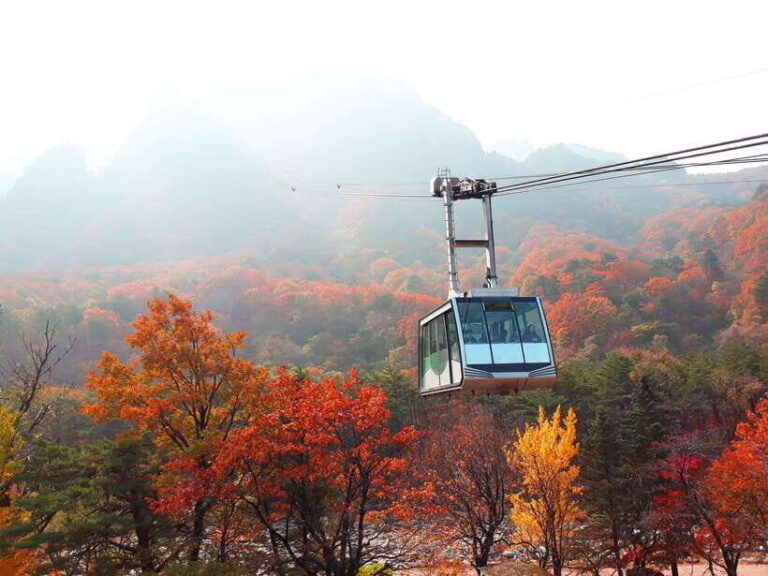 Seoul: Mt.Seorak, Nami Island & Korean Garden, No Shopping - Exploring the Itinerary in Detail