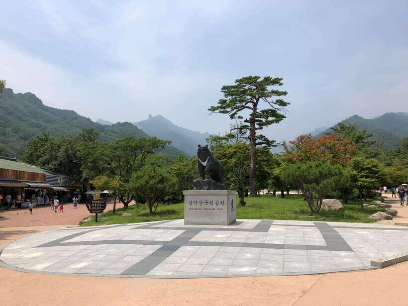 Seoul: Mt.Seorak(+CableCar Option)+Sokcho Fish Market&Beach - Visiting Seoraksan National Park