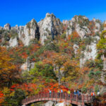 Seoul: Mt. Seoraksan National Park Autumn Foliage Day Tour - What Makes This Tour Stand Out