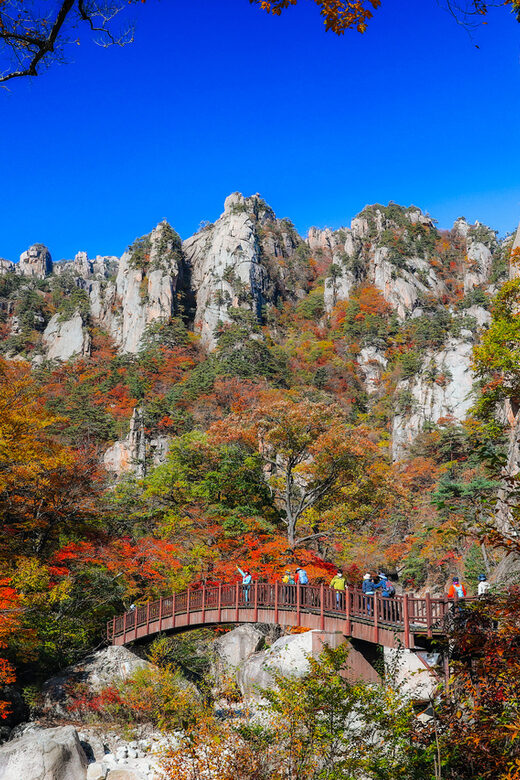 Seoul: Mt. Seoraksan National Park Autumn Foliage Day Tour - What Makes This Tour Stand Out