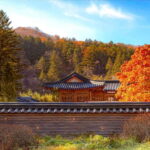 Seoul: Odaesan or Daedunsan Park Autumn Foliage Day Tour - What Makes This Tour Stand Out