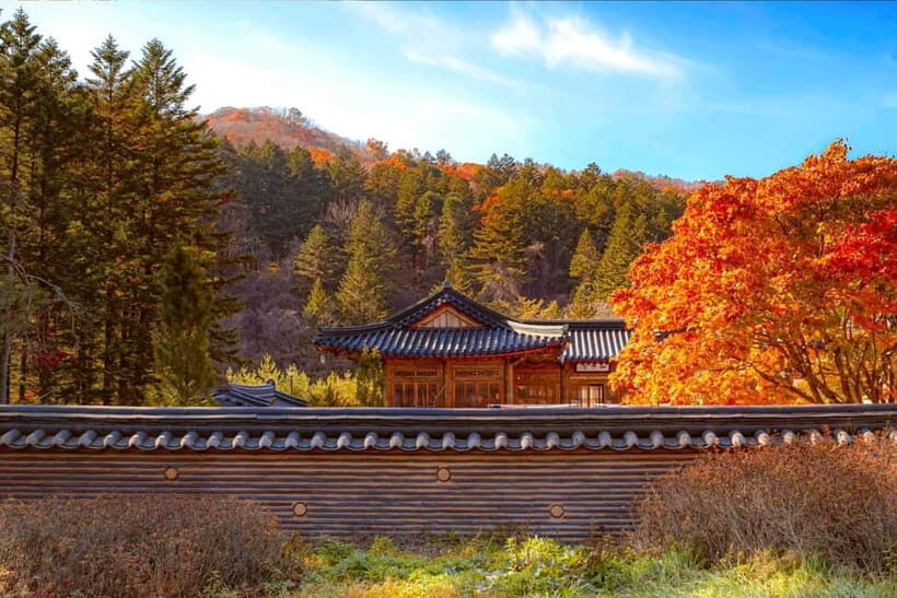 Seoul: Odaesan or Daedunsan Park Autumn Foliage Day Tour - What Makes This Tour Stand Out