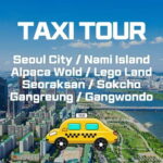 Seoul: Private Taxi Tour Car Charter - Nami Alpaca Seorak - A Closer Look at the Itinerary Options