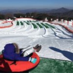 Seoul: SnowyLand in Vivaldi Park with Nami or Alpaca - Who Is This Tour Best For?