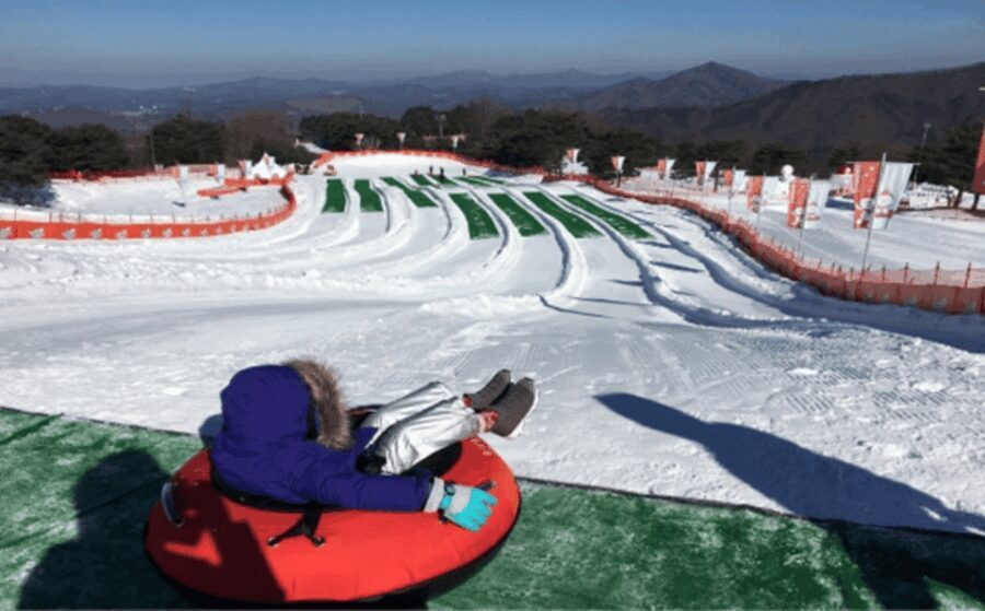 Seoul: SnowyLand in Vivaldi Park with Nami or Alpaca - Who Is This Tour Best For?