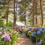 Seoul Vicinity 5 in 1: Nami Island, Garden of Morning Calm & More - What This Tour Means for the Traveler