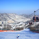 Seoul: Vivaldi Park Winter Ski with Nami Island Day Tour - Detailed Itinerary Breakdown