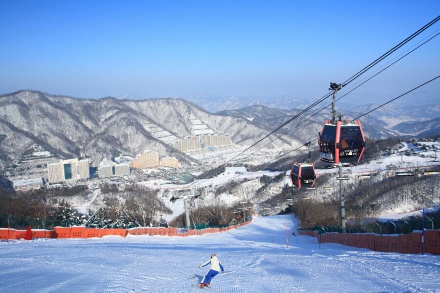Seoul: Vivaldi Park Winter Ski with Nami Island Day Tour - Detailed Itinerary Breakdown