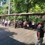 Sepilok Orangutan , SunBear, Proboscis Monkey from Sandakan City - Who Will Love This Tour?