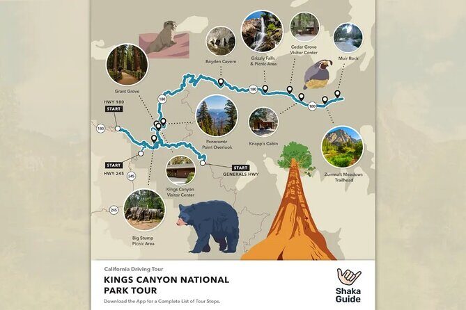 Sequoia and Kings Canyon Audio Tour Self Guide National Park Tour - Day 2: From Sequoia to the Heart of the Park