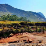 Serene Munnar Retreat: Private Tour from Kochi to the Munnar Hill - Breaking Down the Itinerary: What Youll Experience