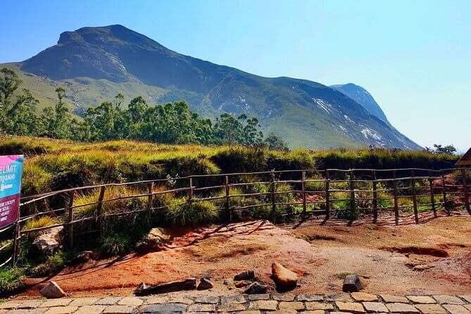 Serene Munnar Retreat: Private Tour from Kochi to the Munnar Hill - Breaking Down the Itinerary: What Youll Experience