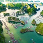Serenity 1 Day Cruise( Ha Long,Lan Ha Bay and Cat Ba Island) - Dining and Amenities