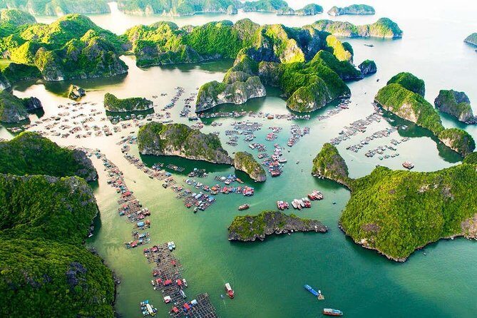 Serenity 1 Day Cruise( Ha Long,Lan Ha Bay and Cat Ba Island) - Dining and Amenities